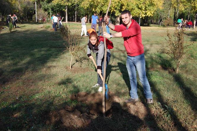 Plantari de copaci in Parcul ”Caporal Musat” - ProBraila - Stiri Braila